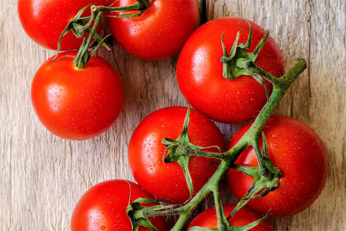 Working Center - Water Farmers